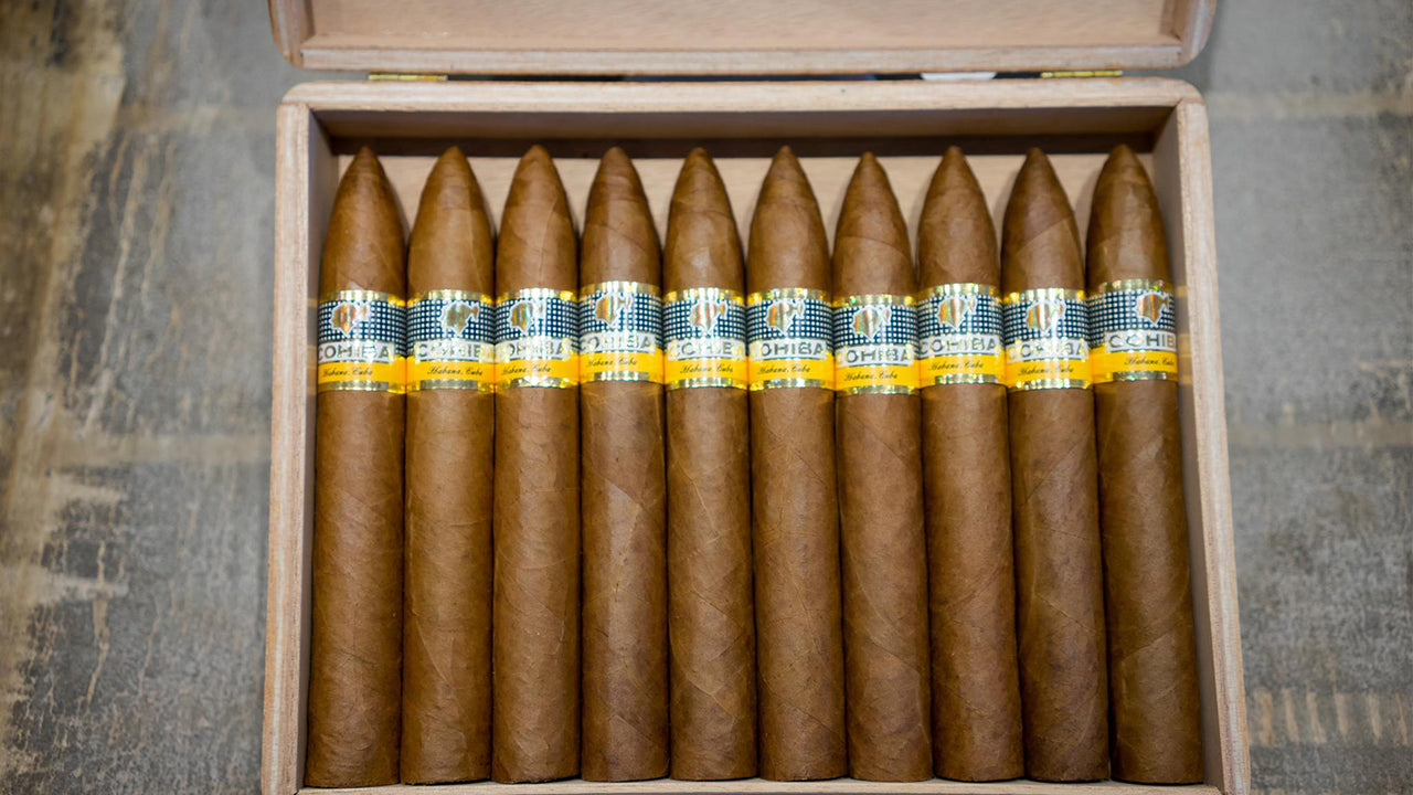 Torpedo Cigar Tips: A Beginner's Guide – EGM Cigars