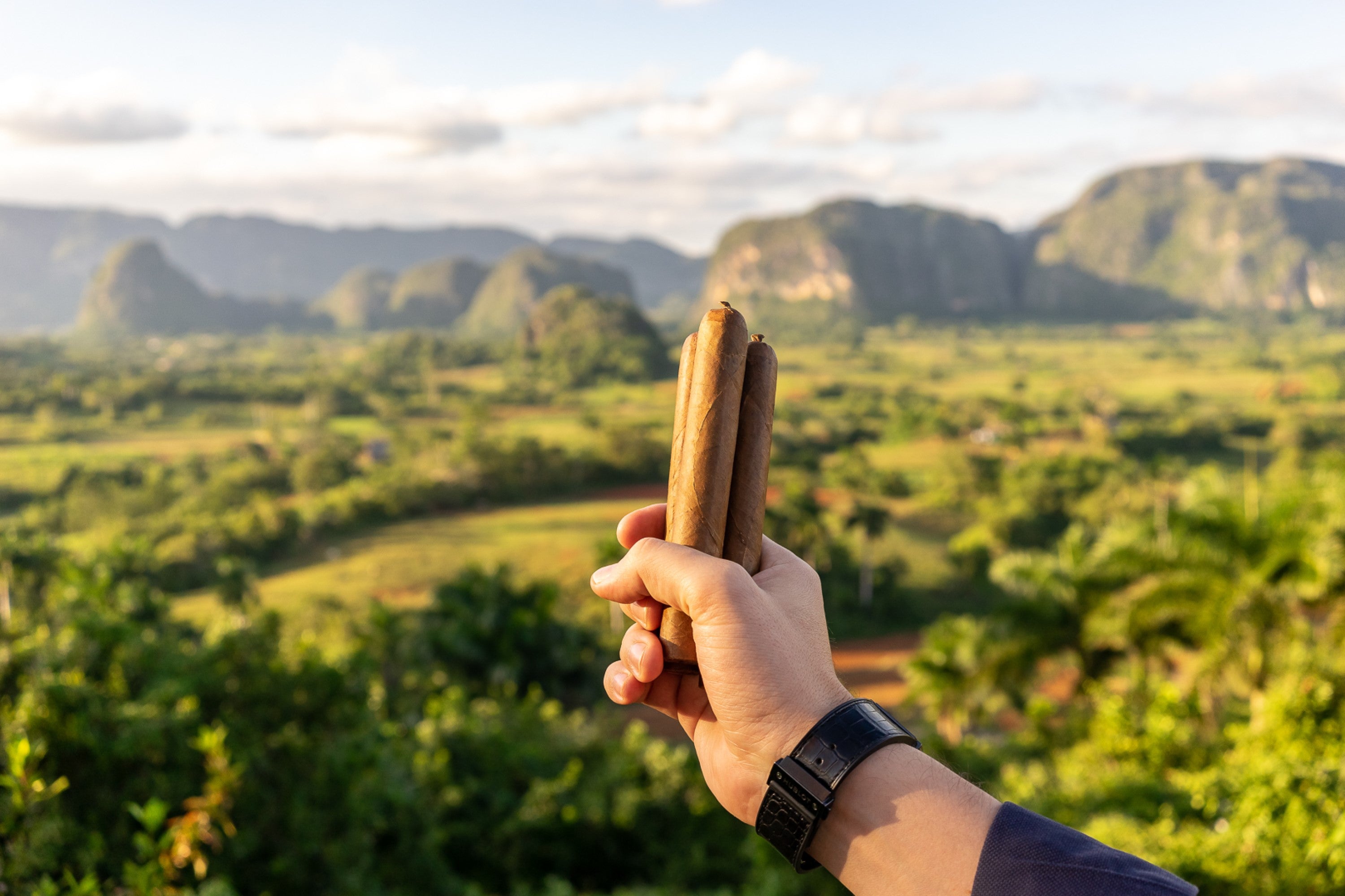 The New World of tobacco growing – EGM Cigars