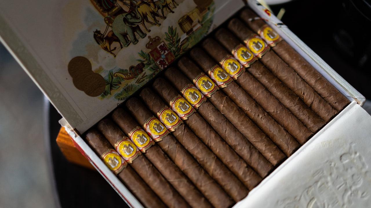 The Top Thin Cuban Cigars to Try – EGM Cigars